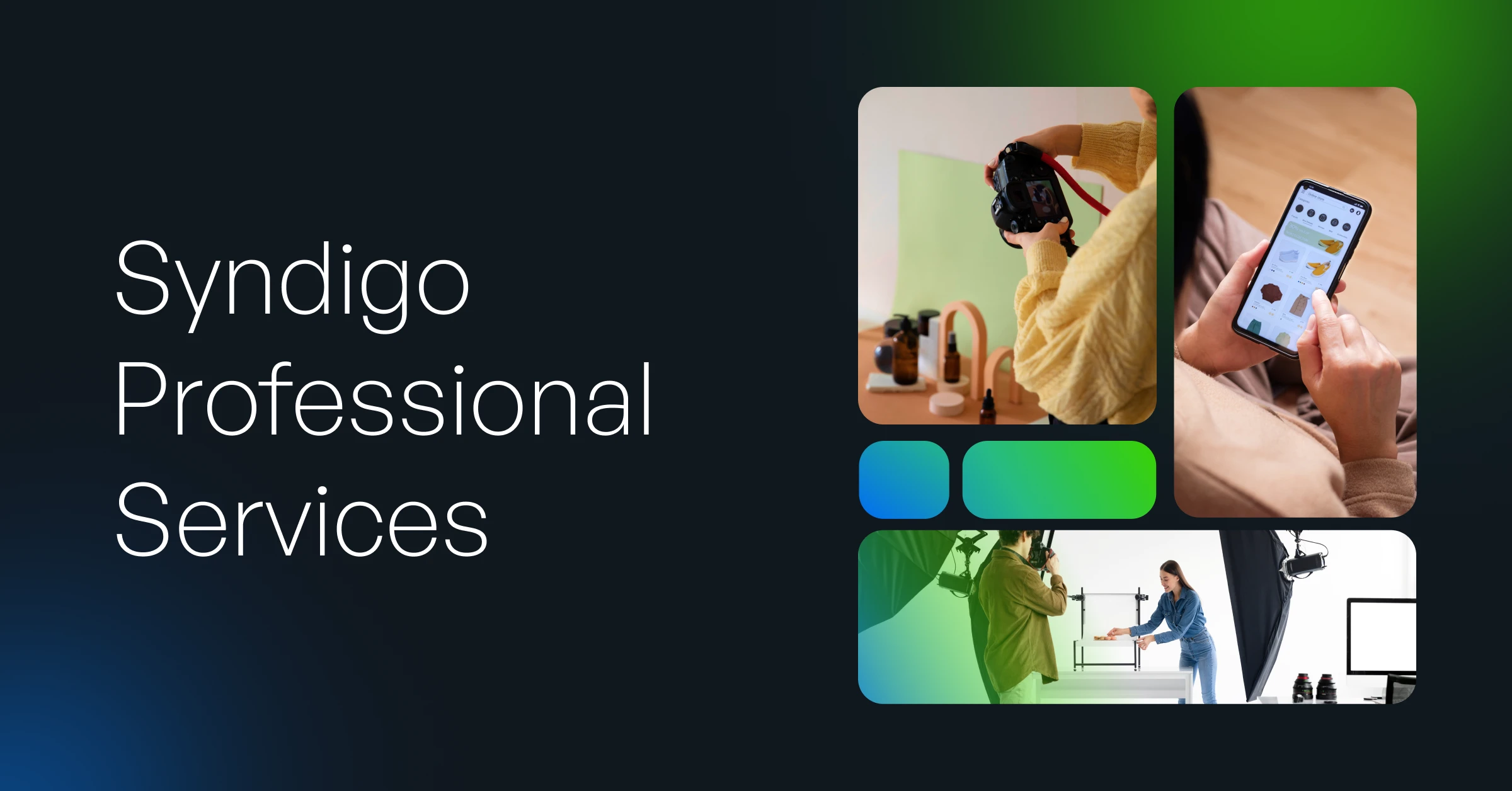 Syndigo Professional Services
